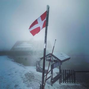 History And Meaning Of The Danish Flag - Learn About The Dannebrog Of ...